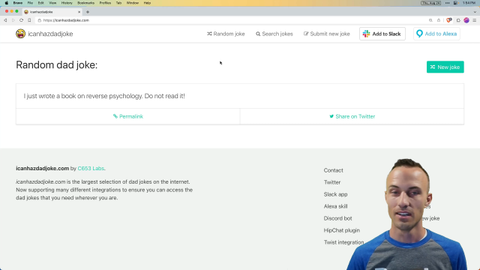 Dad Joke Break Schema Validation | Epic Web Dev